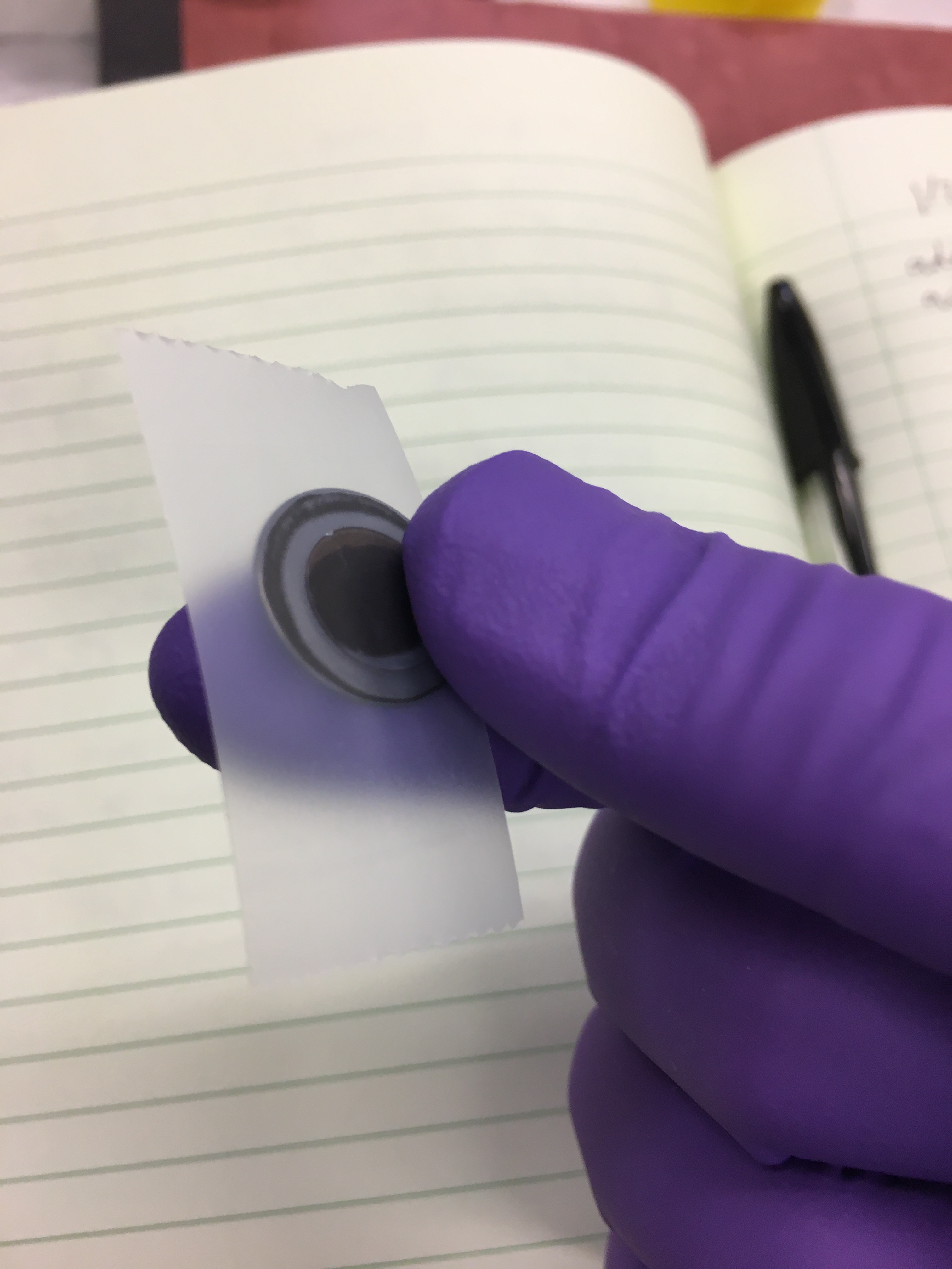 So what’s up with scotch tape? – Scotch tape is a scientist's best friend